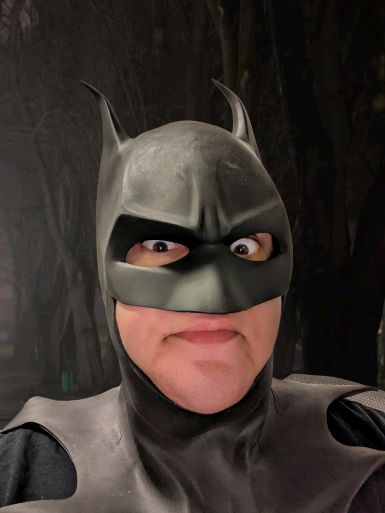 Fantastic BATMAN Cowl Mask : Fits Adult Heads!