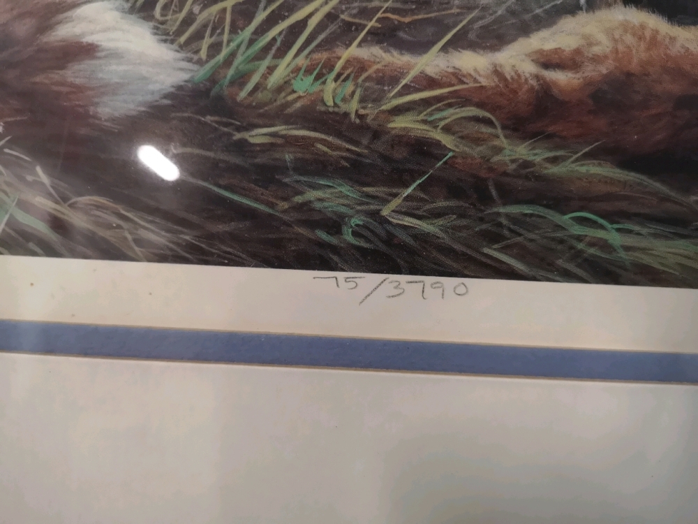 Vintage Signed Print Fox Summer - Lisa Calvert 1991