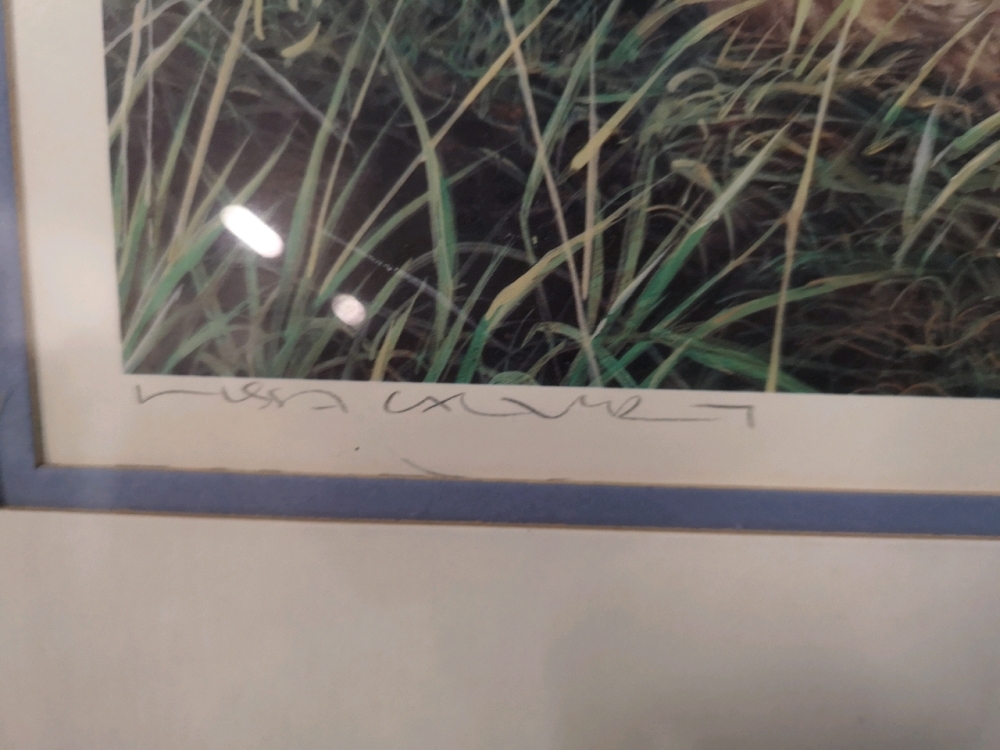 Vintage Signed Print Fox Summer - Lisa Calvert 1991