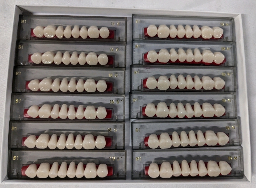 [Dentistry] 12 New Enta Prosthetic Teeth Sets. Anterior and Posterior.