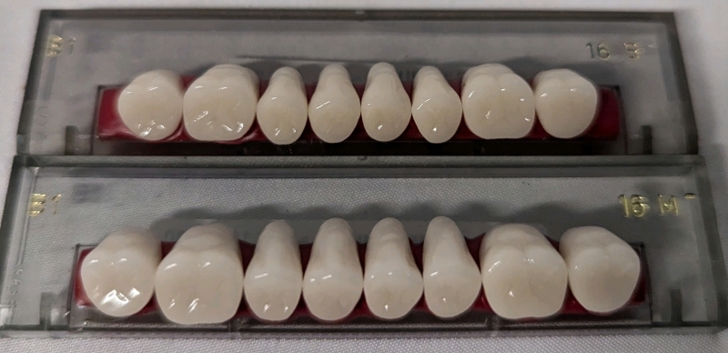 [Dentistry] 12 New Enta Prosthetic Teeth Sets. Anterior and Posterior.