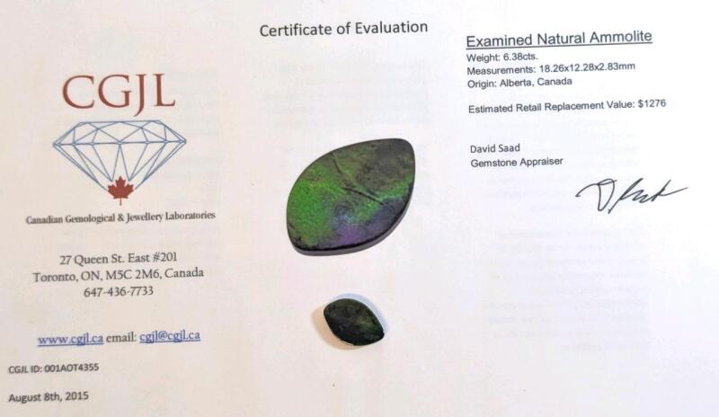 Gorgeous Natural Canadian Ammolite, 6.38 cts, 18.26 × 12.28 × 2.83mm ...